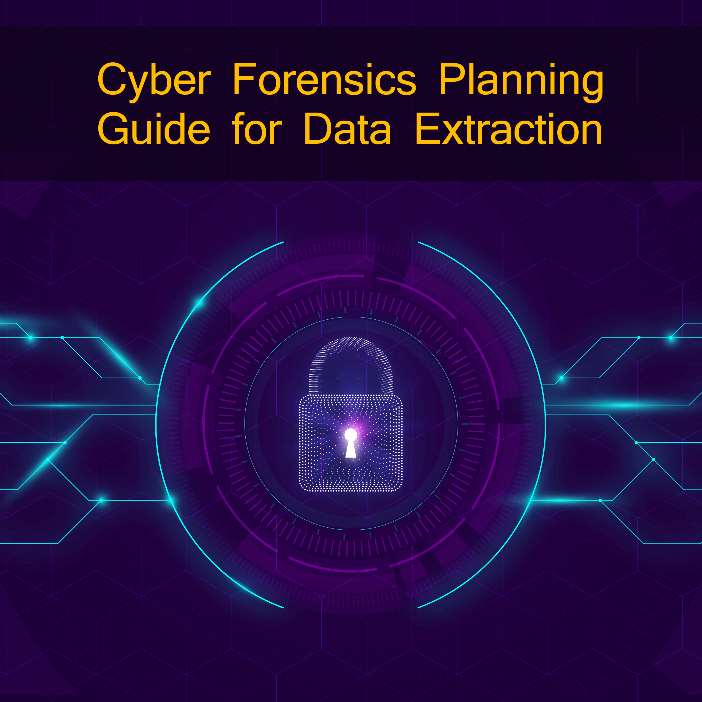 Cyber Forensics Planning Guide for Data Extraction - Digital Forensics ...